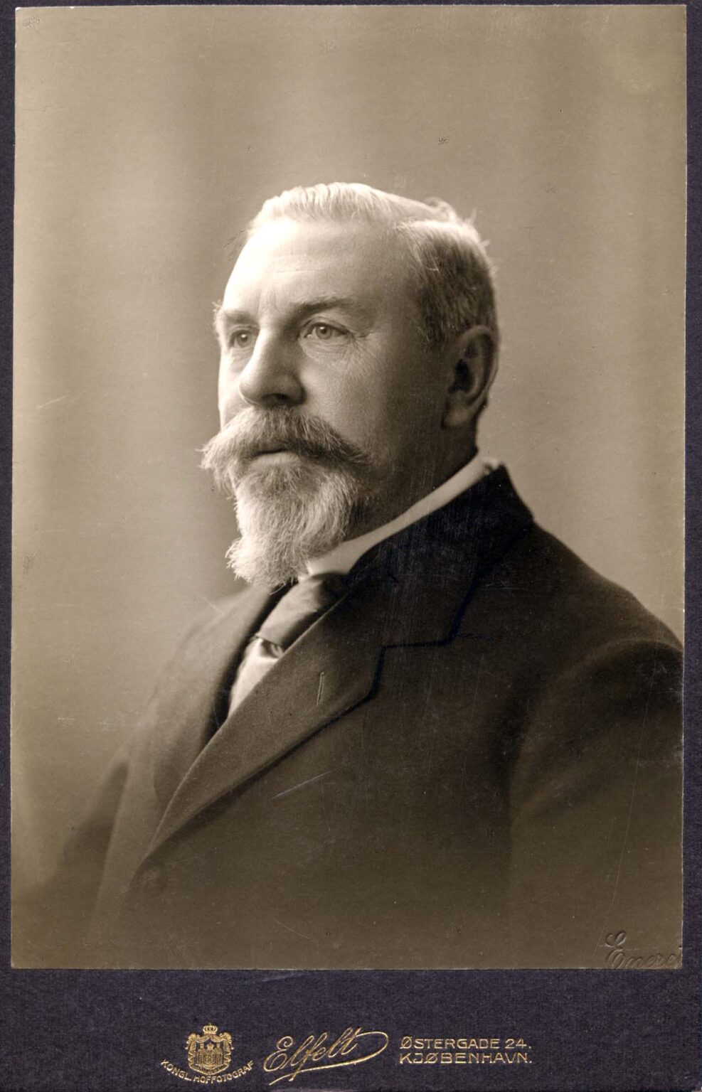 Louis Pio: Fagbevægelsens Historie - Fagbevægelsens Hovedorganisation